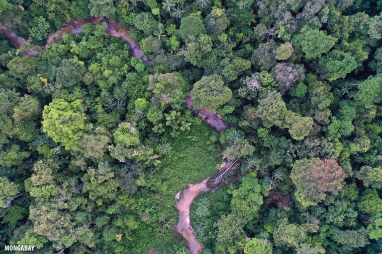 Hartree Partners to channel $2 billion toward new carbon credit - AGORA ...